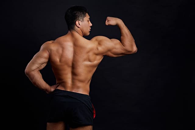 Building 15 Inch Arms: Your Ultimate Guide to Bigger Biceps | Flex AI