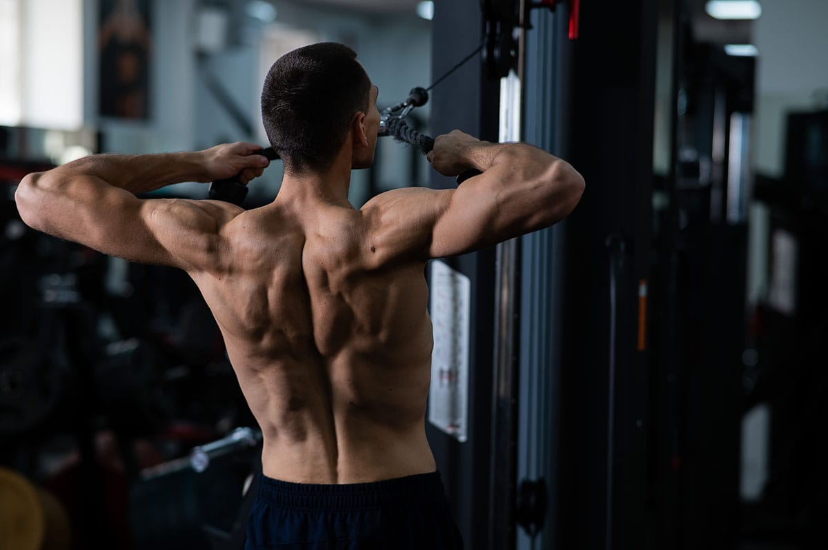 10 Bodyweight Back Exercises: The Best Moves to Sculpt Your Back | Flex AI